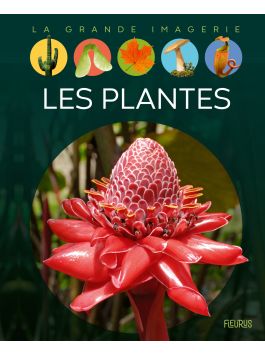Les plantes