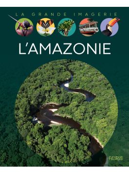 L'Amazonie