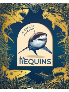 Les requins